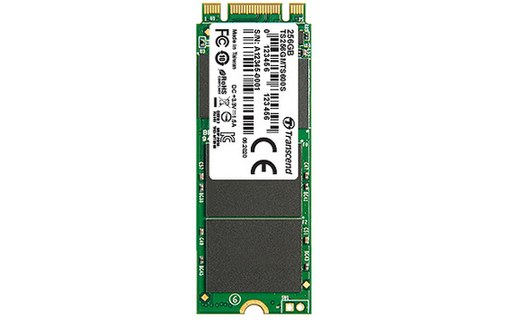 Transcend M.2 SSD 600S 256 Go Série ATA III - Disque SSD - Transcend