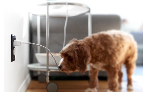 Fuse Chicken Titan - Câble Lightning/USB ultra résistant - Câble - Fuse ...